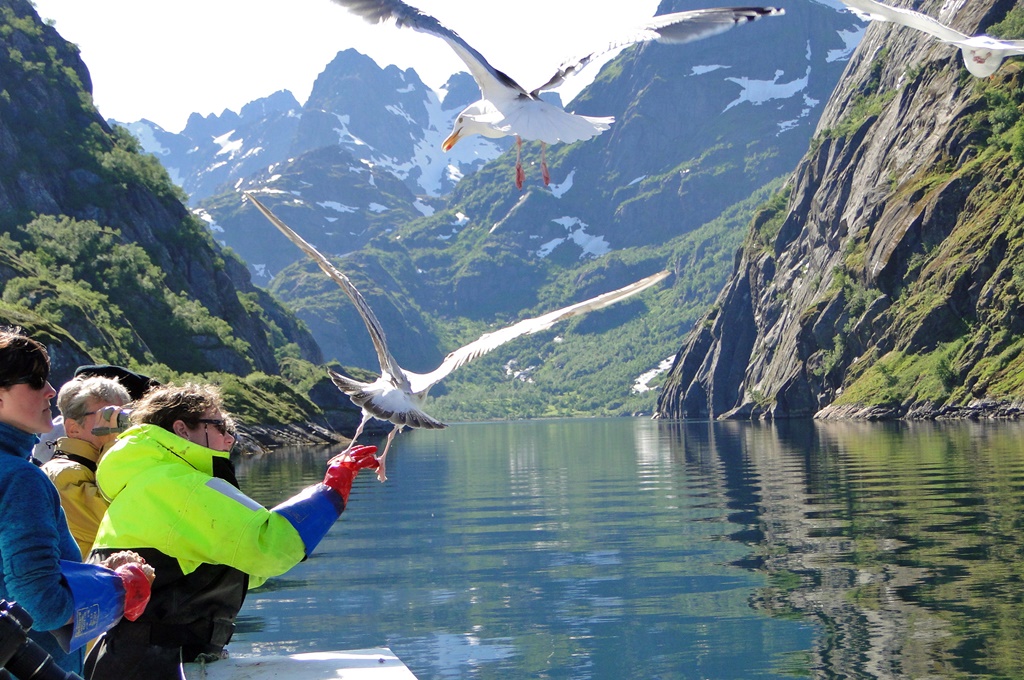 Croaziera Fiordurile Norvegiei si Capul Nord cu Hurtigruten 12 zile